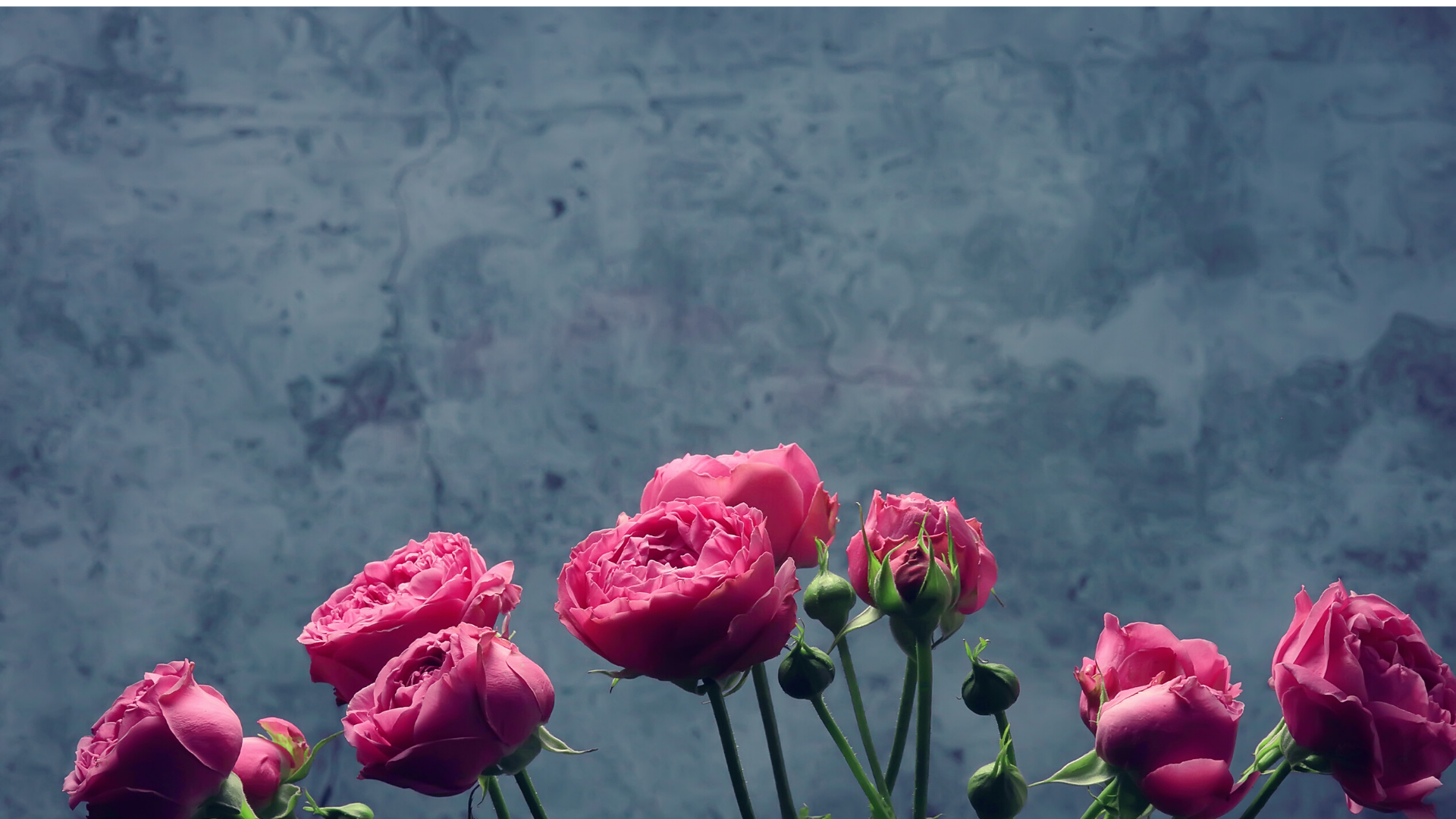 Nature's Aphrodisiac: Rose Medicine – My Herbal Box
