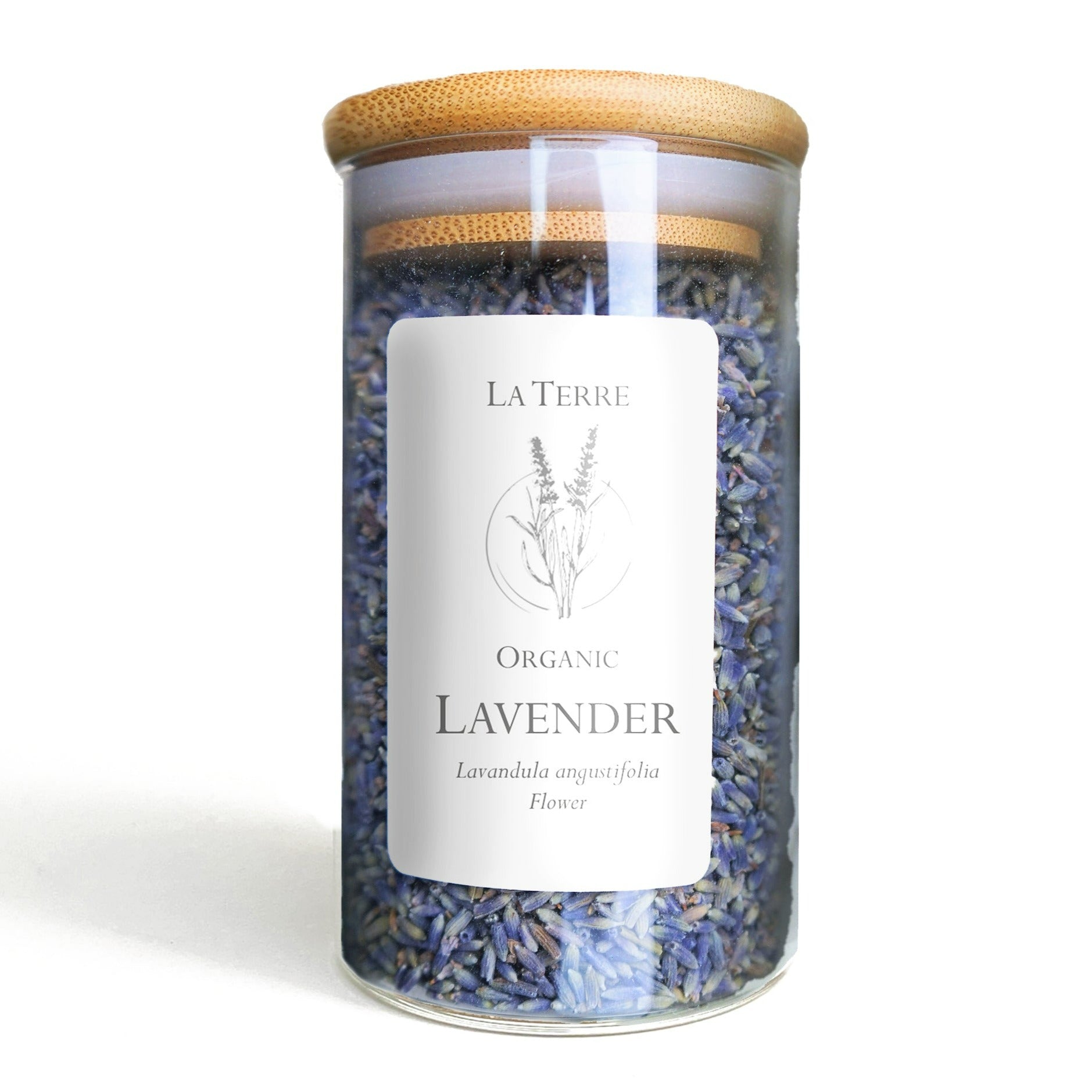Lavender (Organic) – My Herbal Box